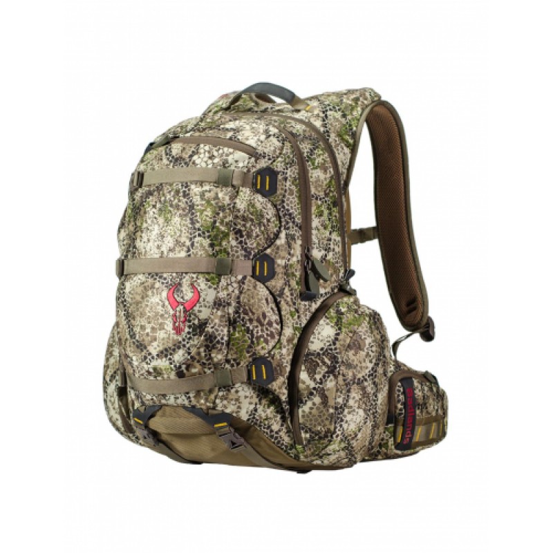 BADLANDS superday backpack